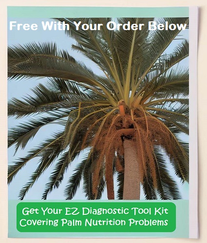 Parts of a Palm Frond - Discover Them Step by Step!