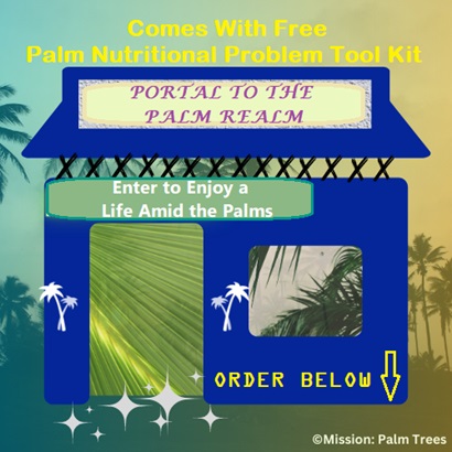 Palm Trees - Fun Mission For A Journey's Passion