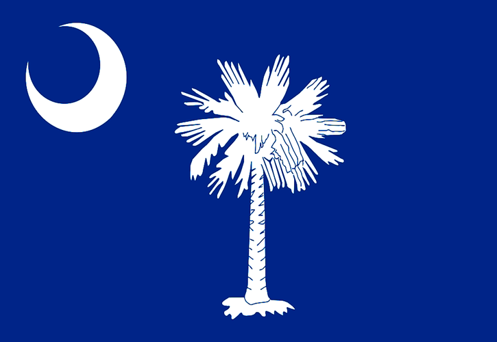 Palm Trees in South Carolina - A Guide to Varieties You'll Love